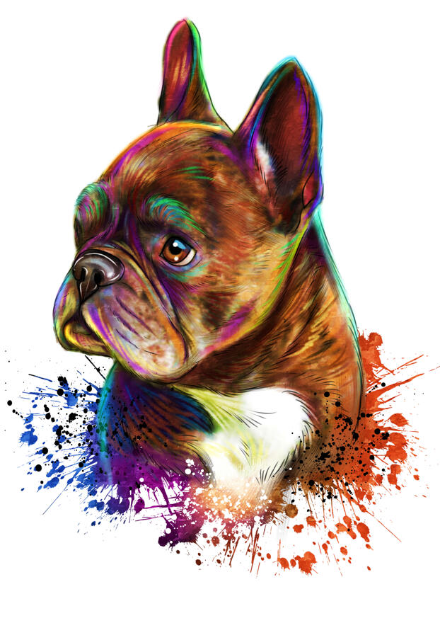 Rainbow Cat Drawing with Splashes