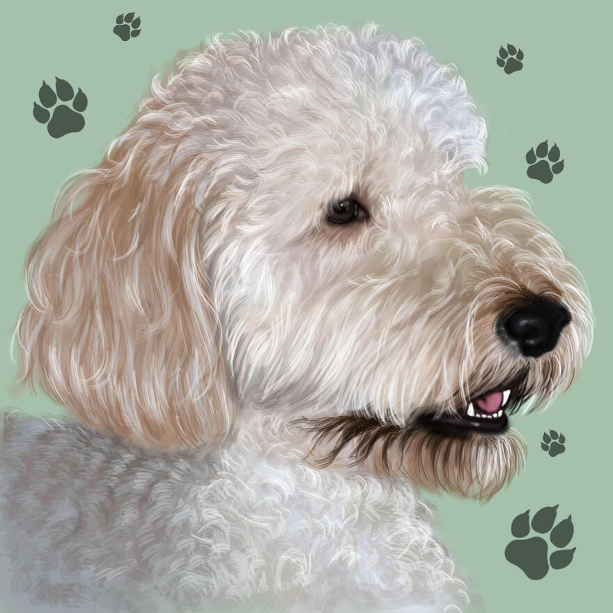 Miniature Poodle Cartoon Portrait from Your Photos