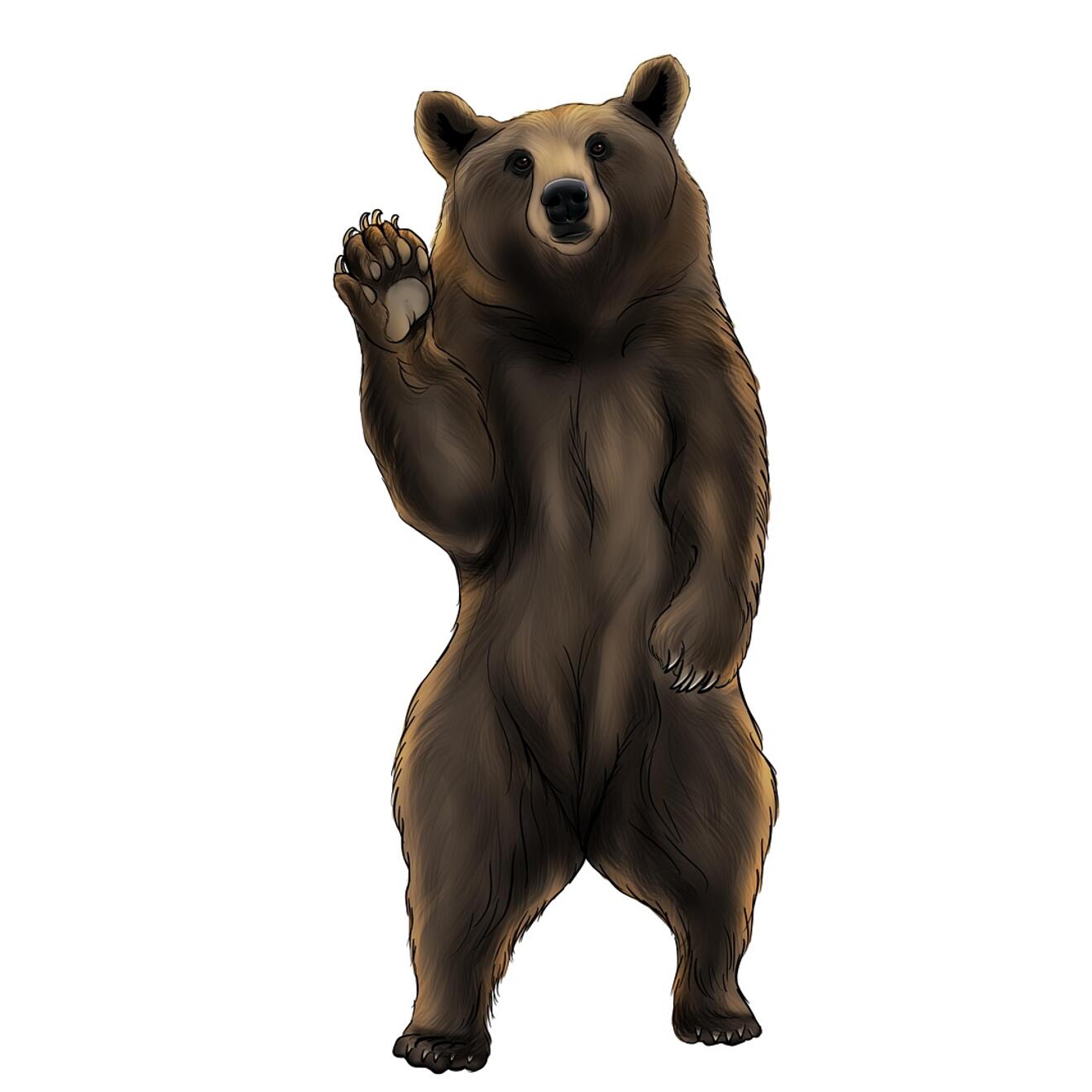 Full Body Bear Portrait Drawing