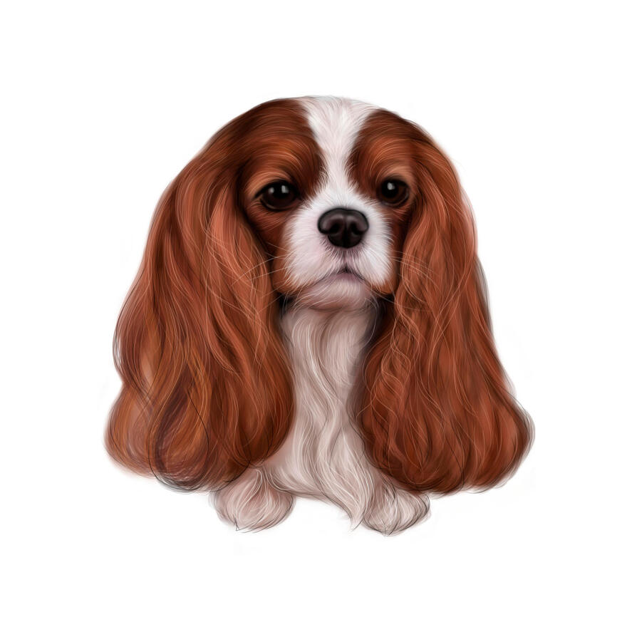 Cute Spaniel Cartoon Portrait in Color Style from Photo