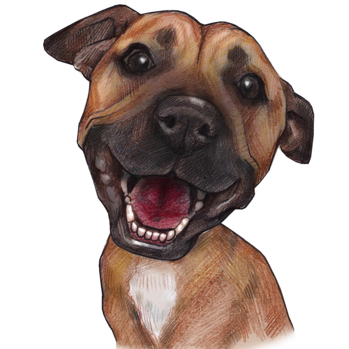 Funny Boxer Dog Caricature Portrait in Color Style from Photos