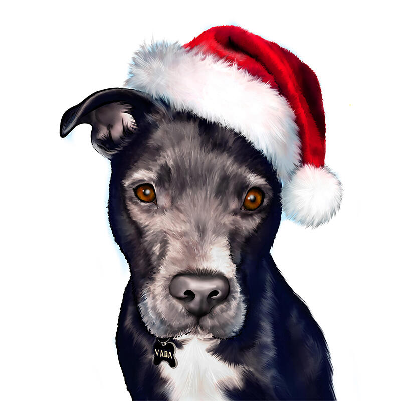 Portret de câine cu pălărie de Moș Crăciun 🎄🐶 | Cadou de Crăciun pentru ...