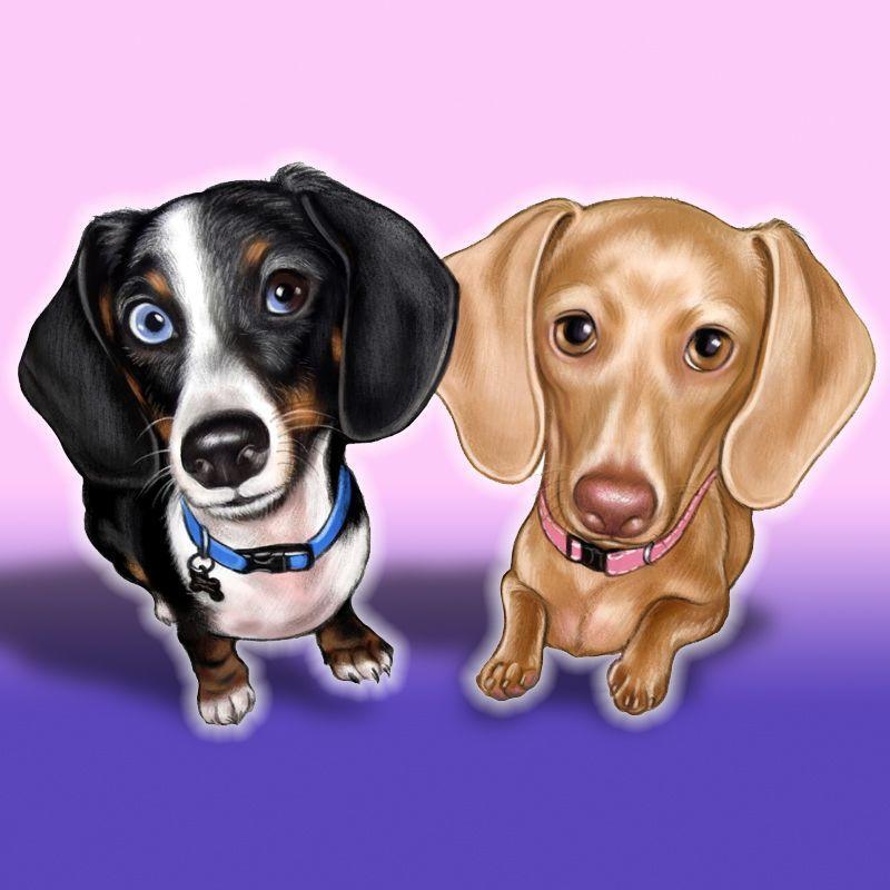 Caricature de teckel dessiné à la main à partir de Photos