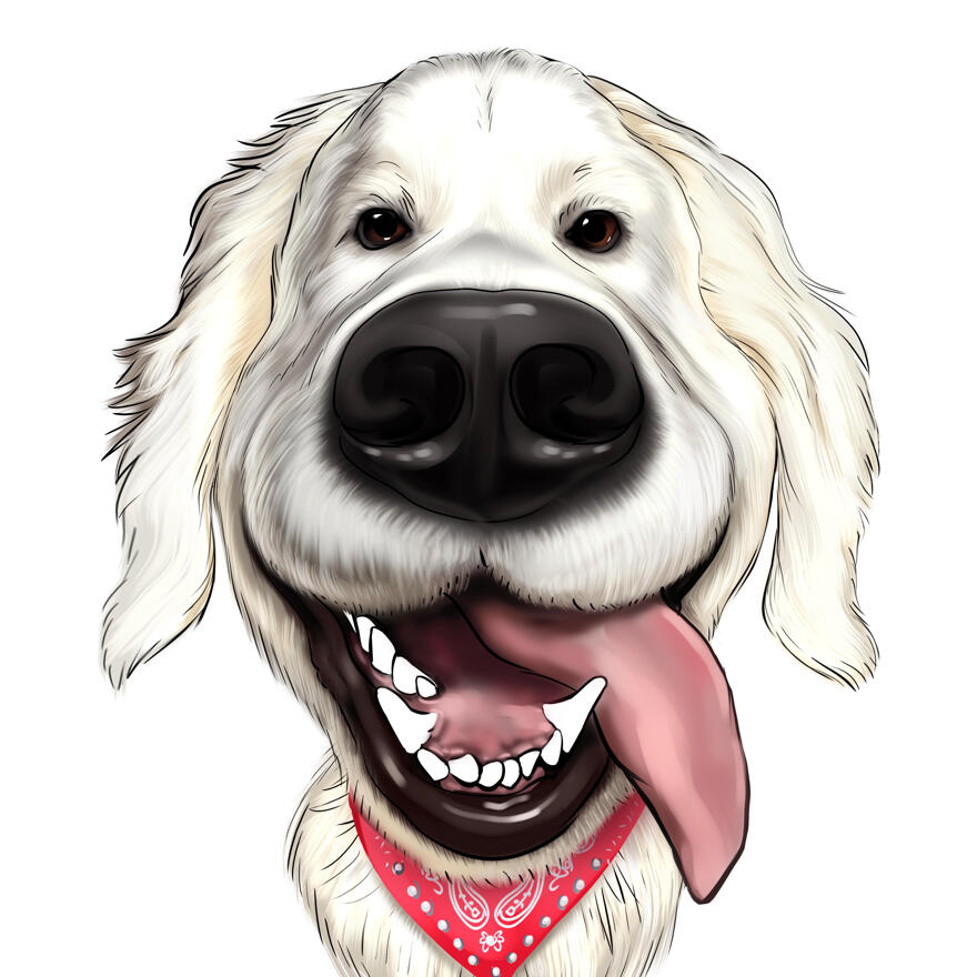 Exaggerated Dog Drawing | Cute Photogenic Breed Art