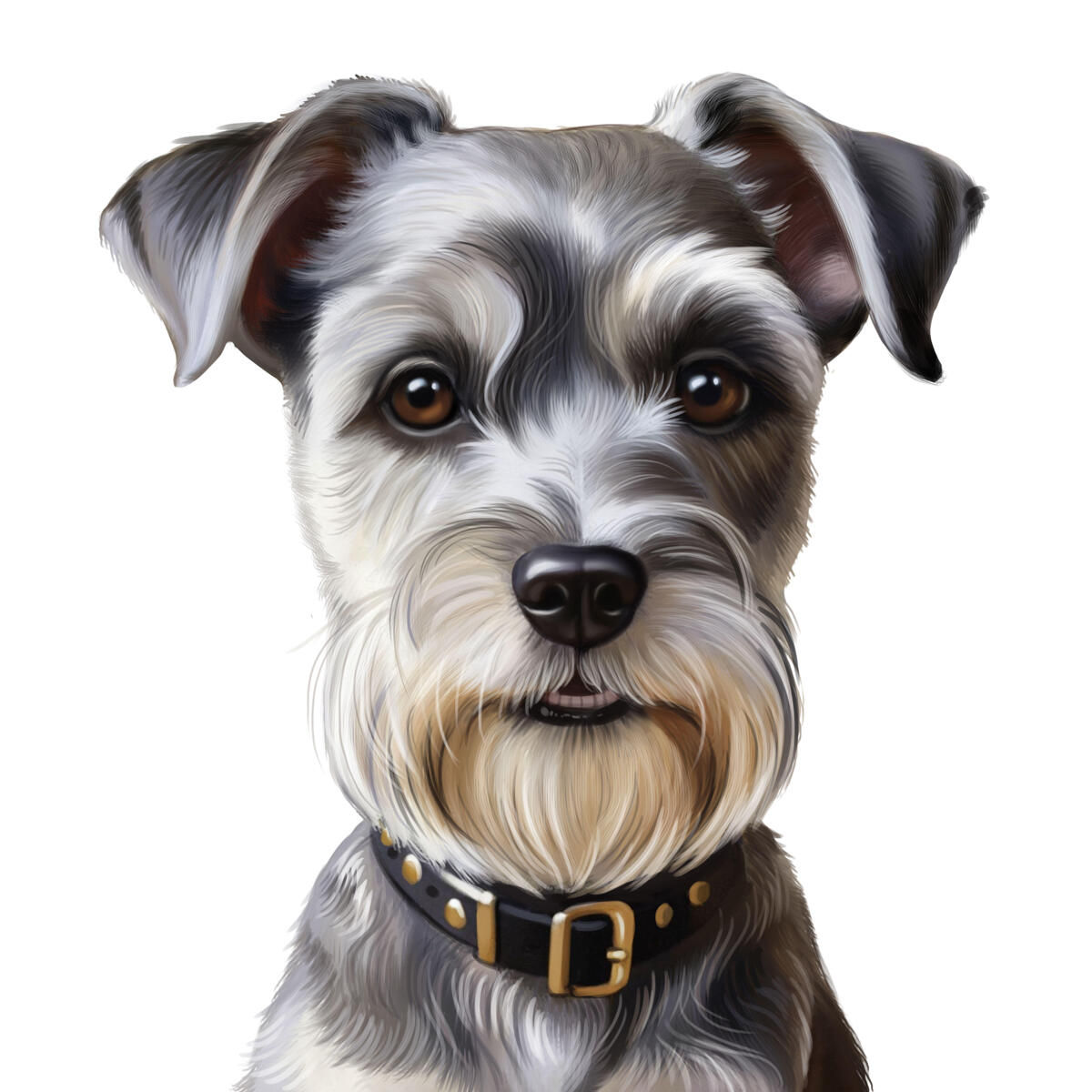 Miniature Schnauzer Portrait - Custom Drawn from Your Photos