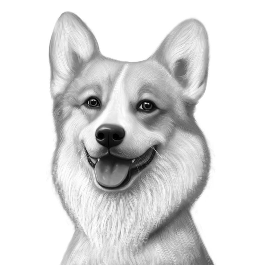 Corgi Cartoon Portrait in Black and White Style