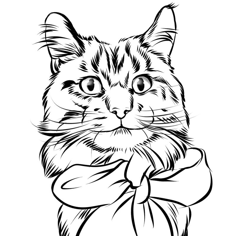 Portrait de chat contour