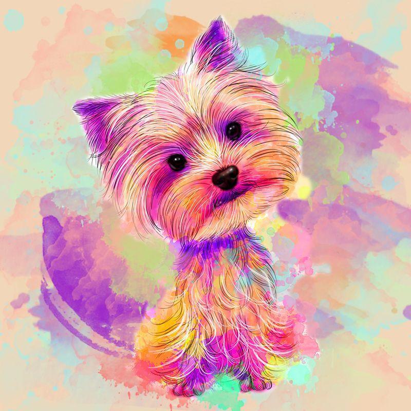 Yorkie Caricature Hand-Drawn from Photos