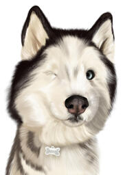 Husky Cartoon Portrait Hand Drawn from Photo