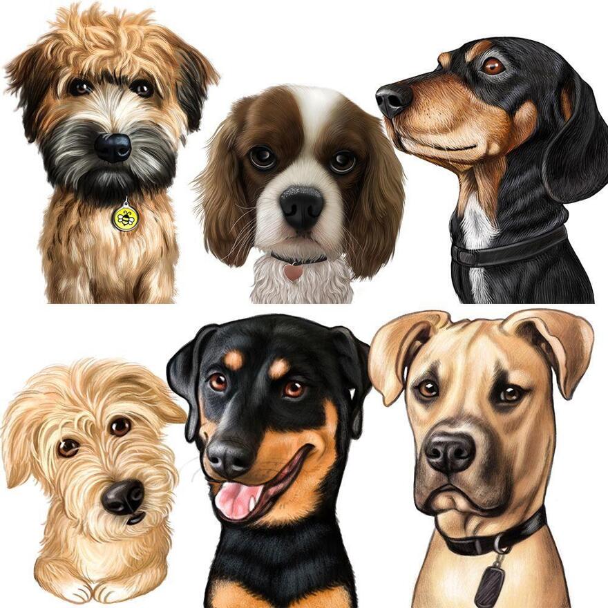 Retrato de perro personalizado, dibujado a mano y en color: arte ...