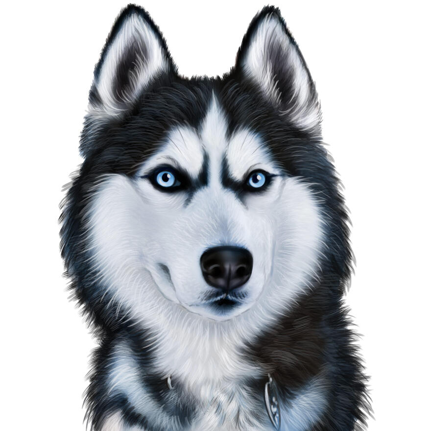 Portret de desene animate cu husky, desenat manual din fotografie