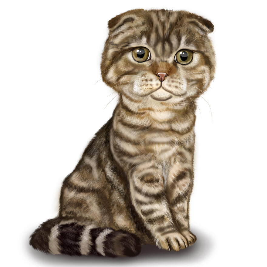 Realistic Cat Portrait | Photomus