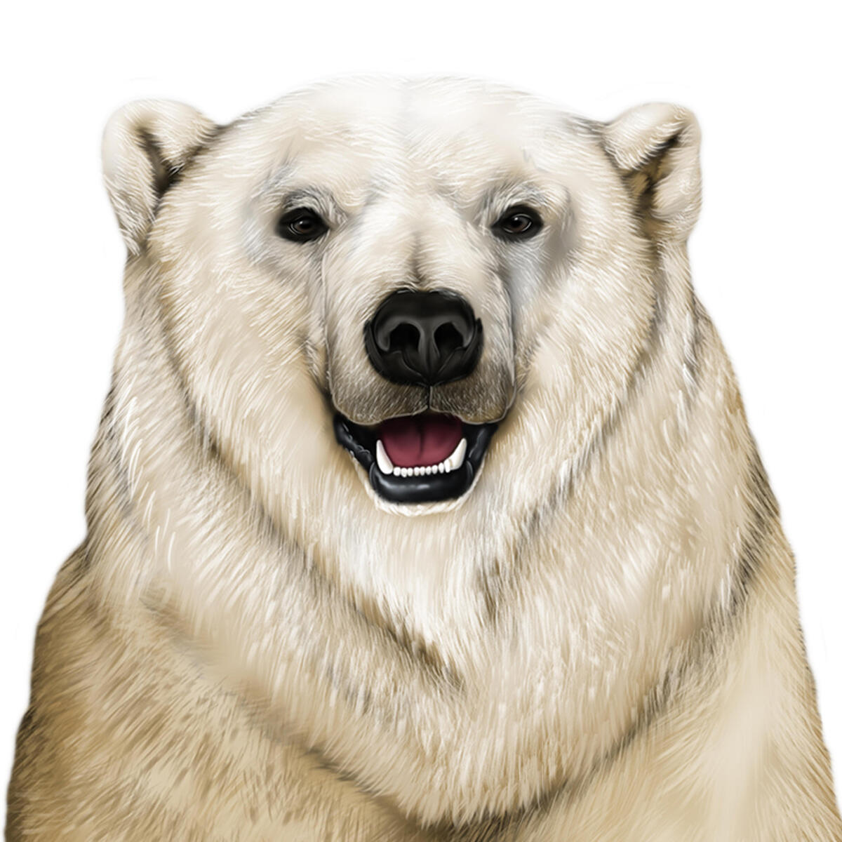 White Bear Portrait Drawing: Custom Hand-drawn from photos 🐻🐻‍ ️🧸. Get ...