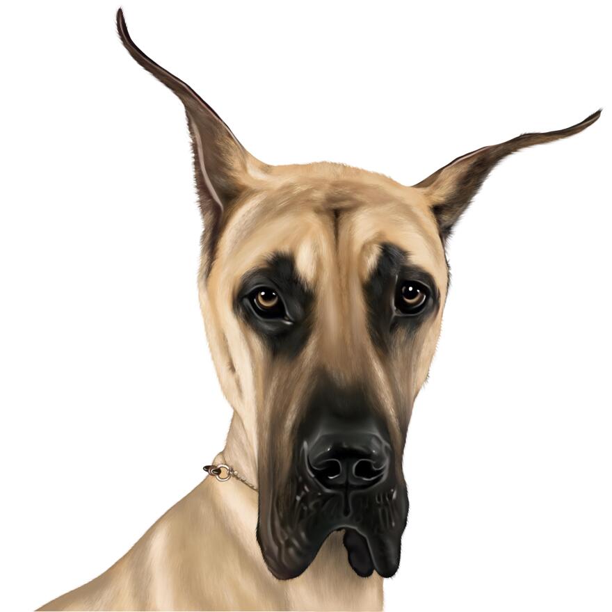 Great Dane Сaricature: hand drawn by pro artist 🐕🐕 🐕