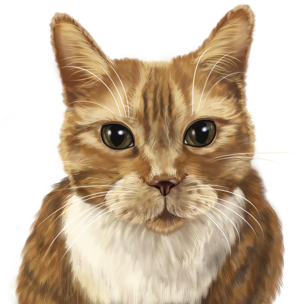Portrait de chat coloré à partir de photos avec des proportions cor...