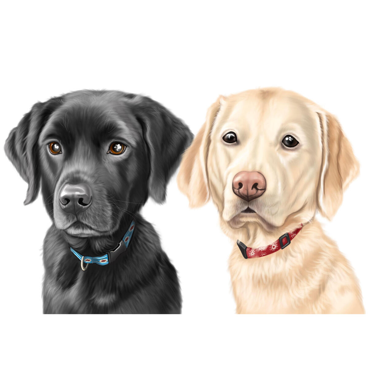 Two Labradors Portrait Drawing